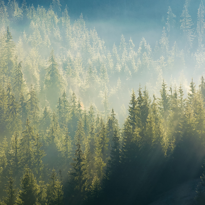 Wilson Vale - A niche contract catering company