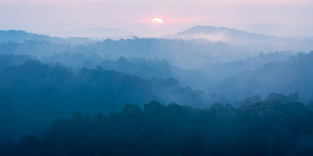 Sustainability - Wilson Vale