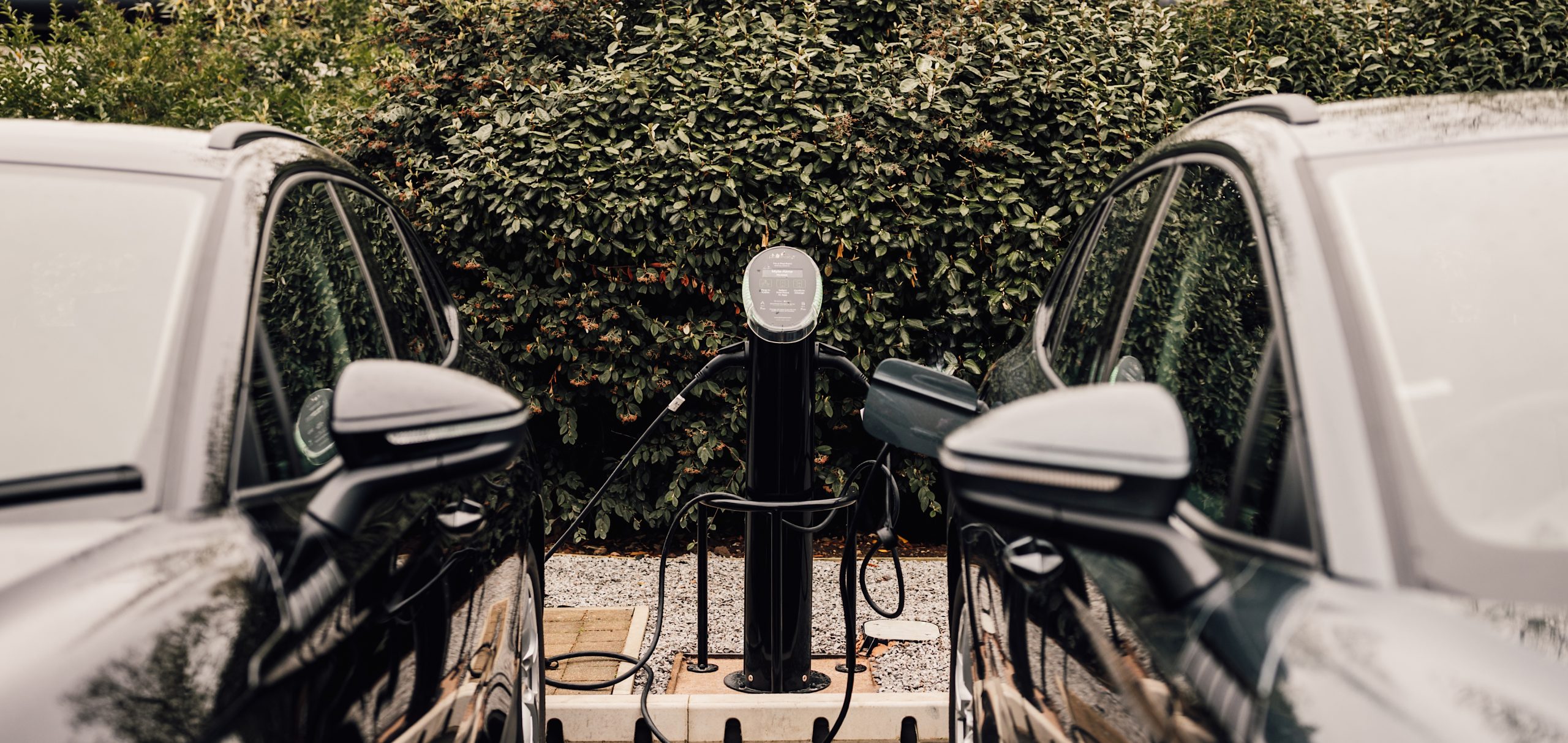 Wilson Vale's HQ certified as Carbon Neutral - Wilson Vale