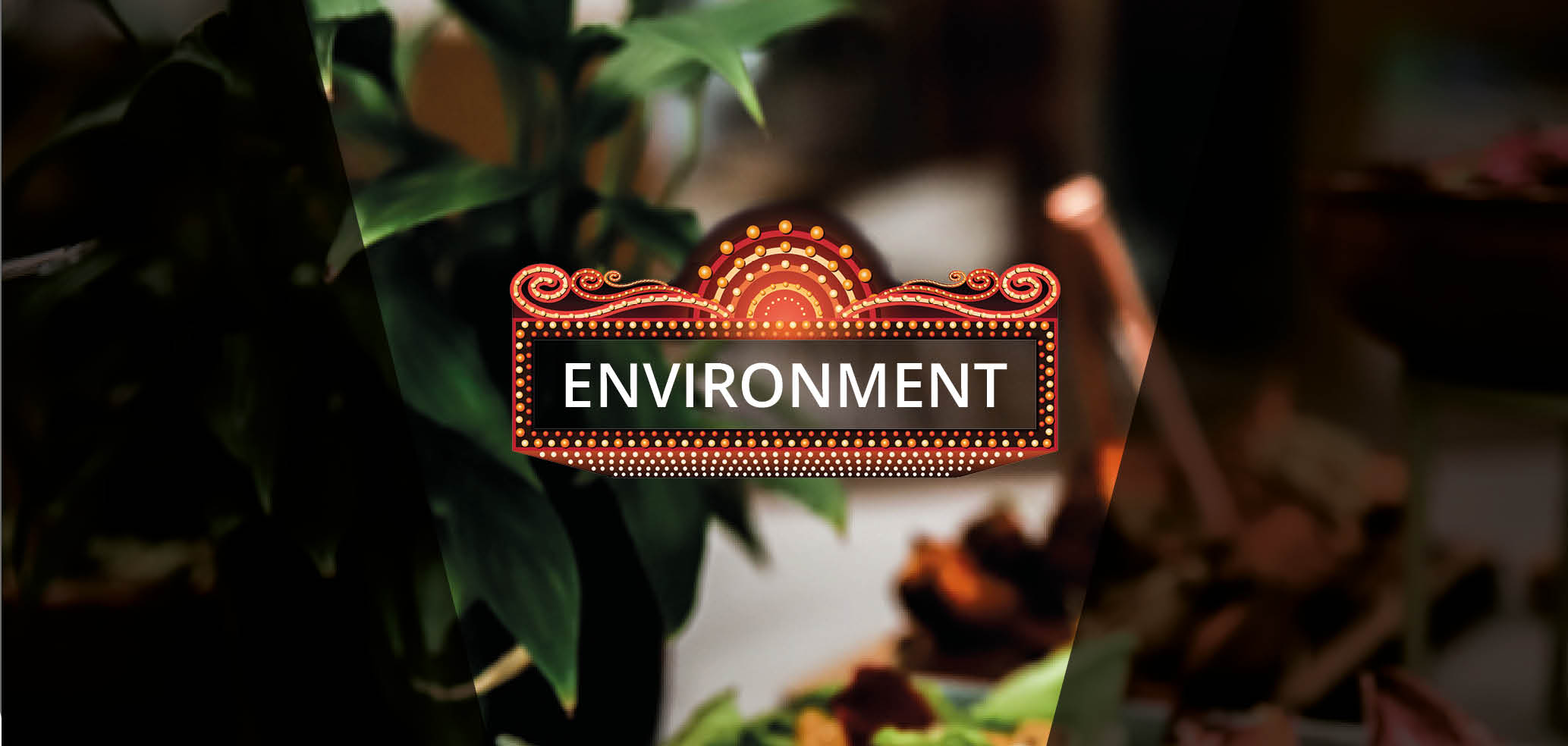 Environment Award Finalists - Wilson Vale